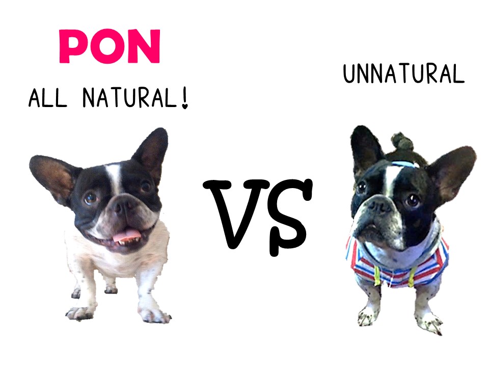 All Natural vs Unnatural 全天然與非天然的比較 – PETS-ON-NATURAL